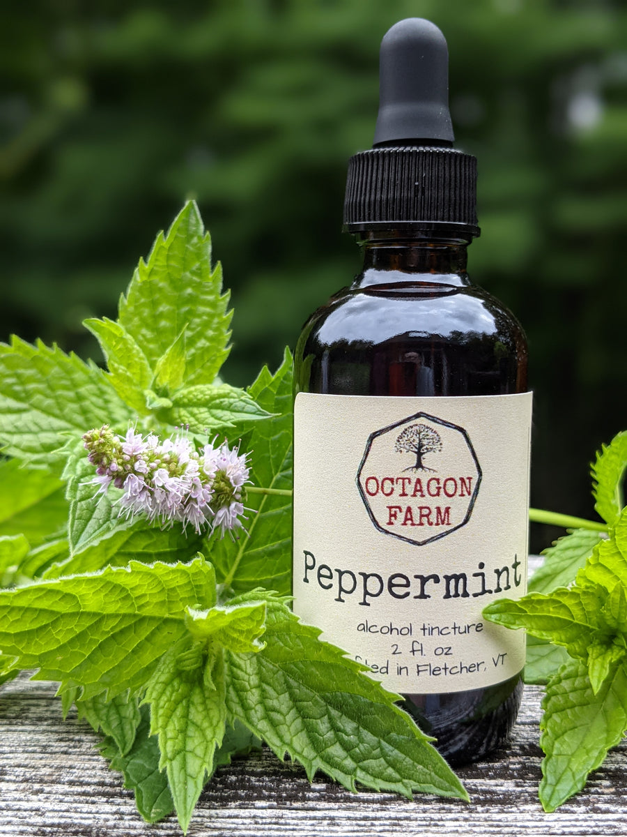 Peppermint Tincture: Made with organic peppermint – Octagon Farm