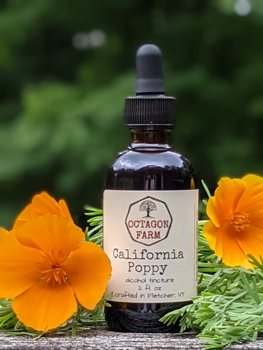 California Poppy Tincture: Non-narcotic pain relief, sleep aid ...