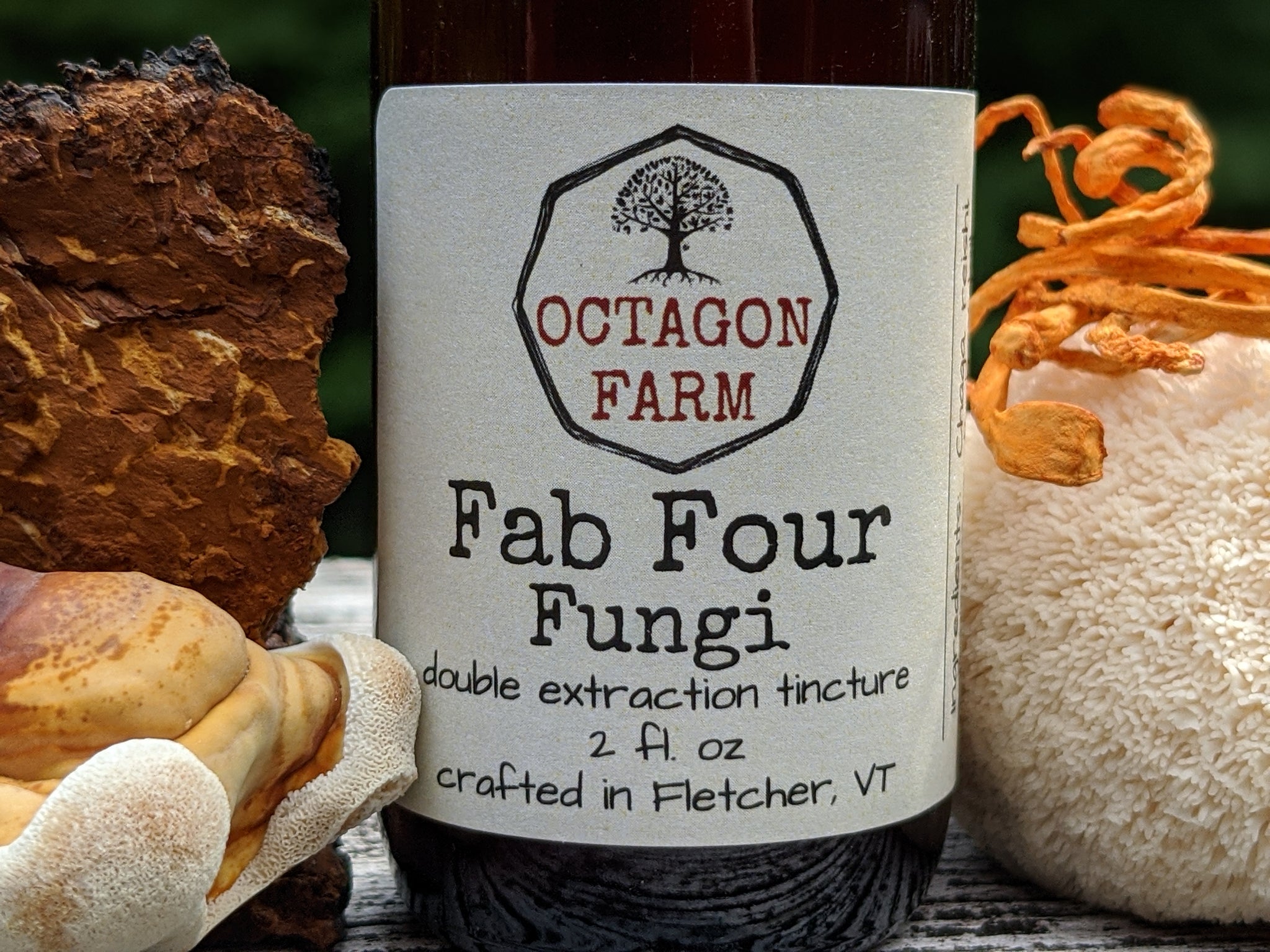 Mushroom Tinctures – Octagon Farm